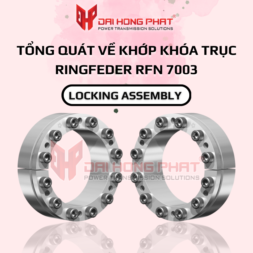 TỔNG QUÁT VỀ KHỚP KHÓA TRỤC RINGFEDER RFN 7003 (LOCKING ASSEMBLY) - Đại Hồng Phát